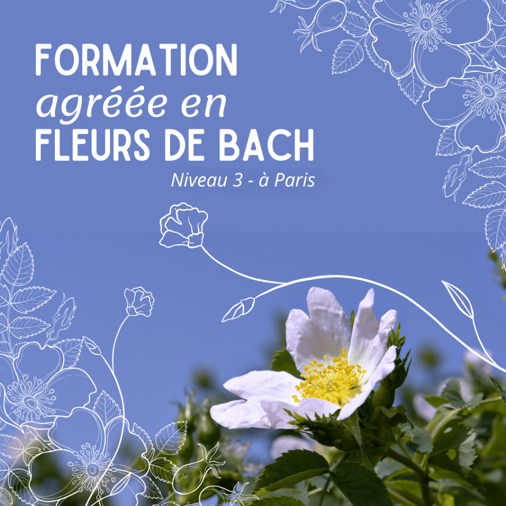 Formation agréée niveau 3 fleurs de Bach à Paris - Fleurs de Bach Paris